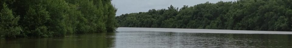 RUFIJI DELTA: A HUB FOR MANGROVES - Wetlands International East Africa