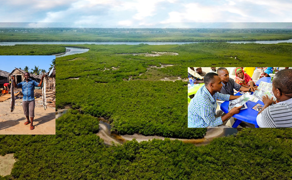 Rufiji Mangroves Sustaining Communities and Nature - Wetlands ...