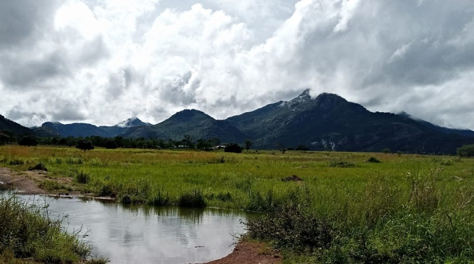 Rise of Okom: Restoring Uganda’s Aswa Basin - Wetlands International ...