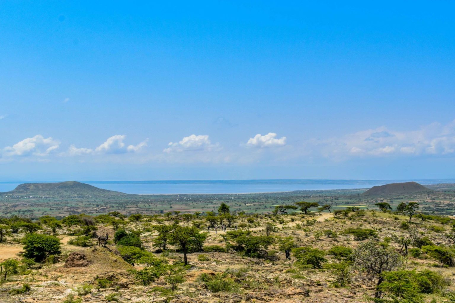 Restoring the Natural Balance of Ethiopia’s Central Rift Valley Lakes ...